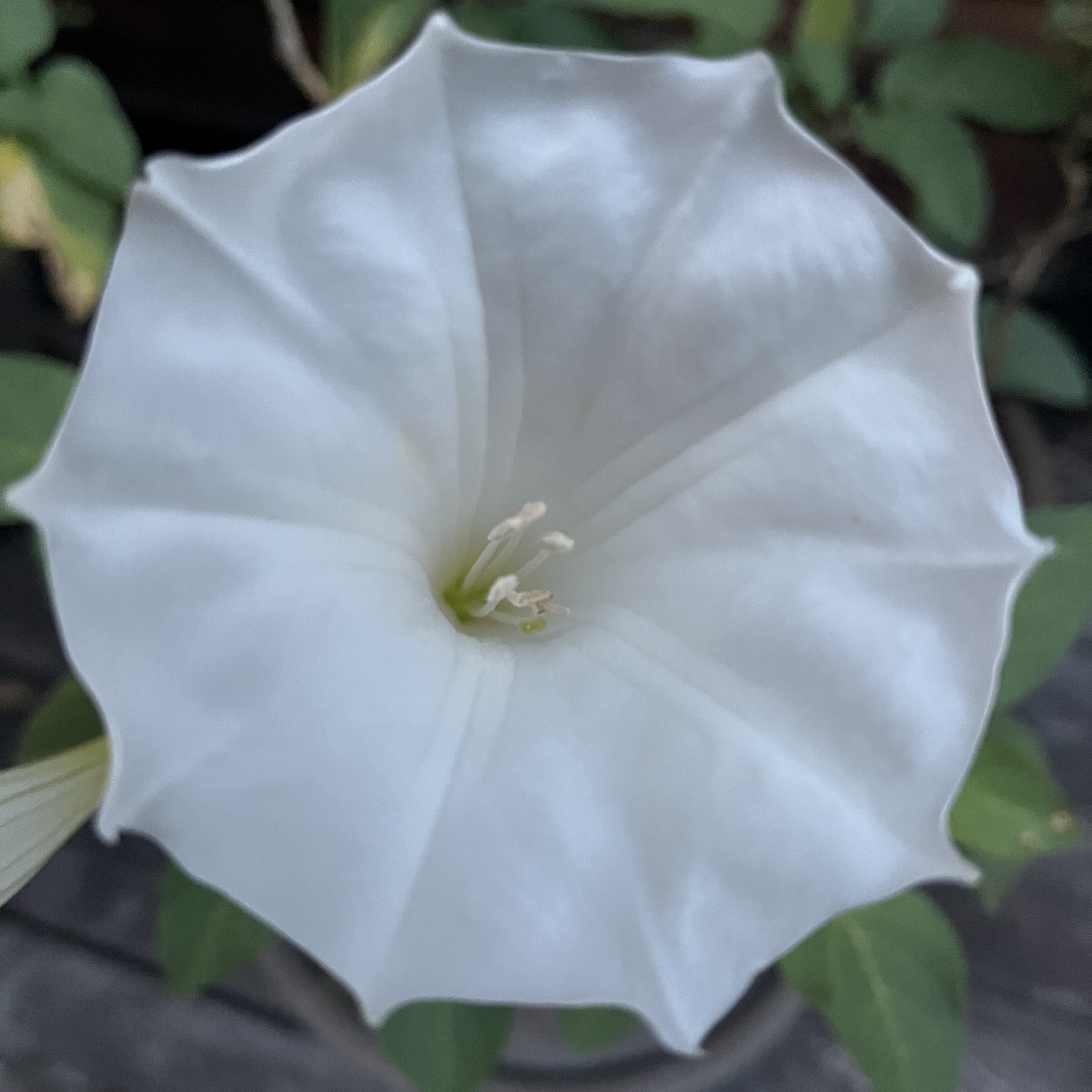 Consultations – Timothy Lee Scott